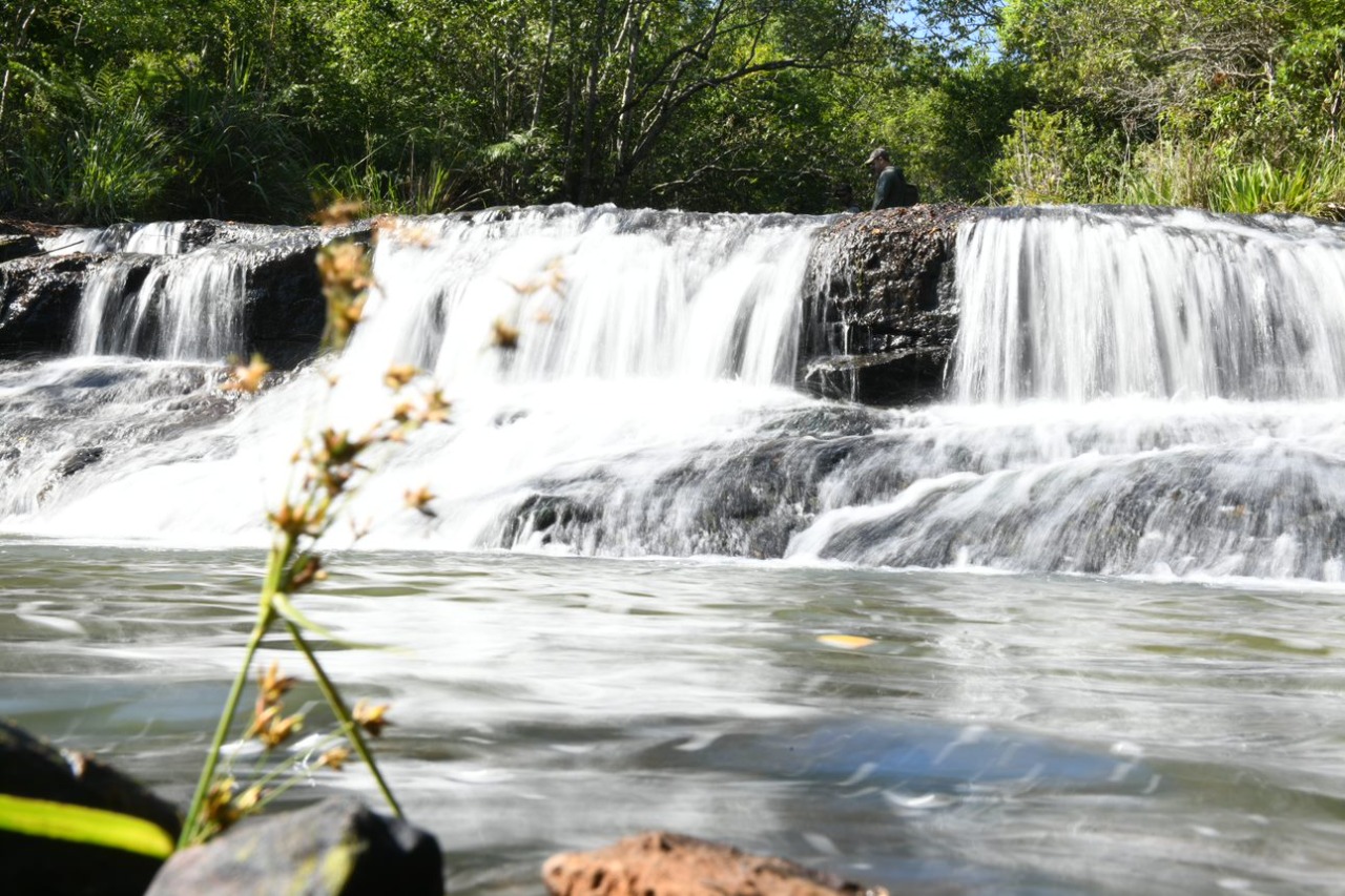 Reserva Natural Itabo posee gran significancia ecológica para ...